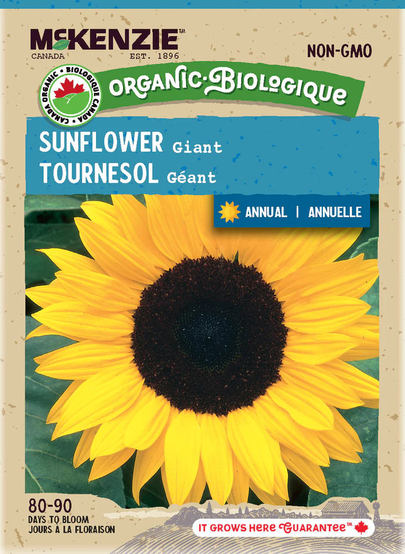 Organic Sunflower Giant- McKenzie Seeds – Wildwood Outdoor Living