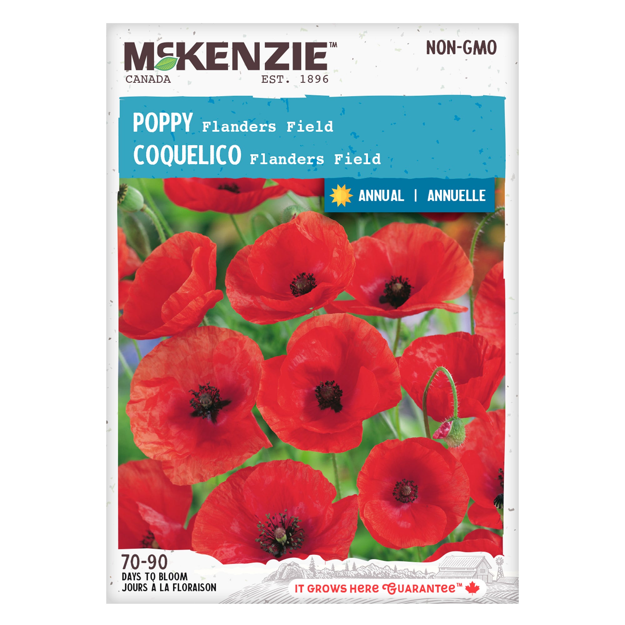 Poppy Flanders Field - McKenzie Seeds – Wildwood Outdoor Living