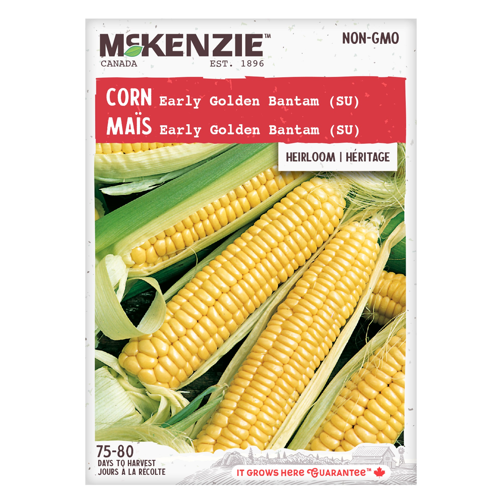 Corn Early Golden Bantam - McKenzie Seeds – Wildwood Outdoor Living