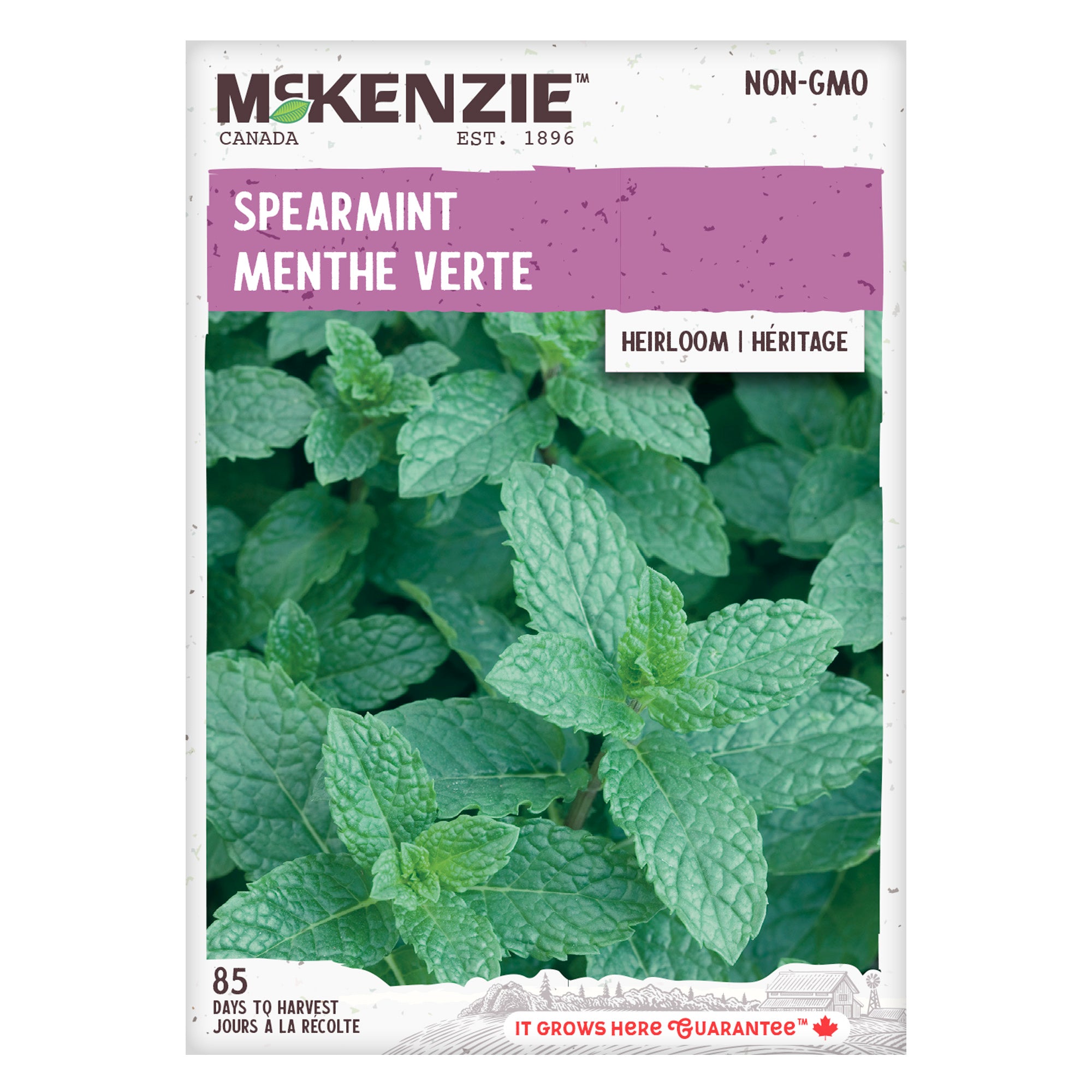 Spearmint - McKenzie Seeds – Wildwood Outdoor Living