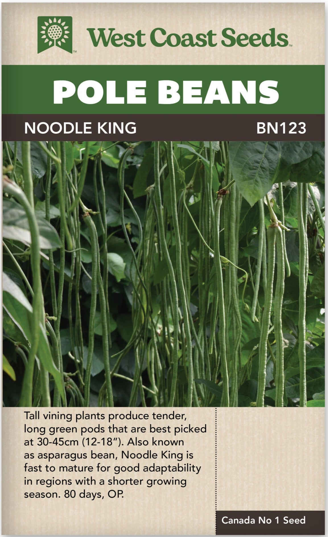 Pole Beans Noodle King - West Coast Seeds – Wildwood Outdoor Living