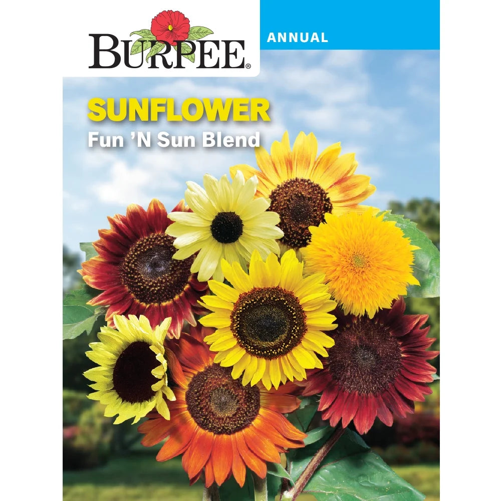 Sunflower Fun 'N Sun - Burpee Seeds – Wildwood Outdoor Living