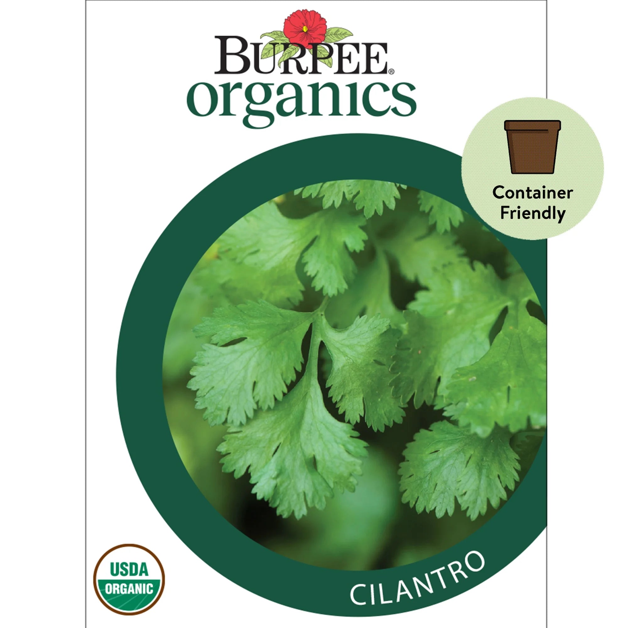 Organic Cilantro - Burpee Seeds – Wildwood Outdoor Living