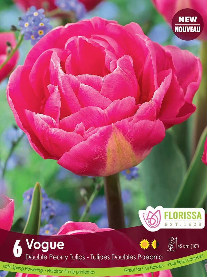 Tulip Bulbs | Best Selection, Top Quality | Canada-Wide Shipping ...