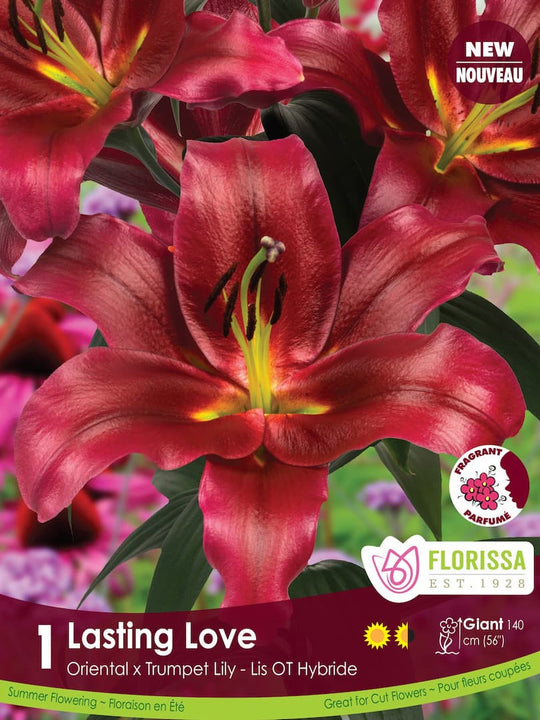 Lily Bulbs | Largest Selection in Canada | Top Size – Wildwood Outdoor ...