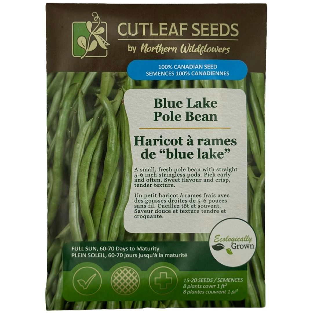 Beans Blue Lake Pole - Northern Wildflowers – Wildwood Outdoor Living
