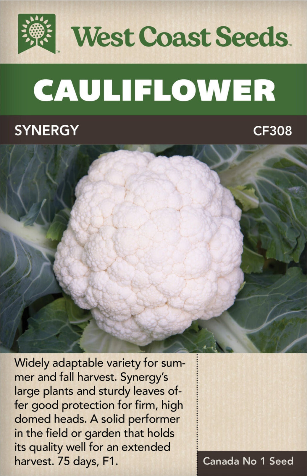 Cauliflower Synergy - West Coast Seeds – Wildwood Outdoor Living