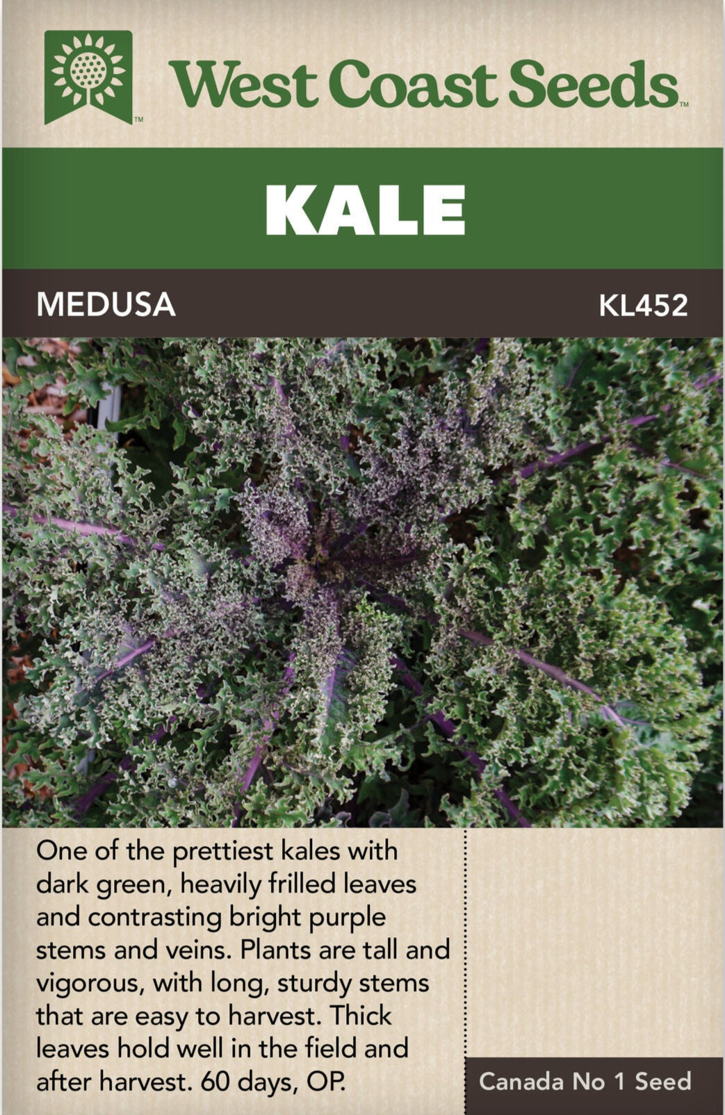 Kale Medusa - West Coast Seeds – Wildwood Outdoor Living