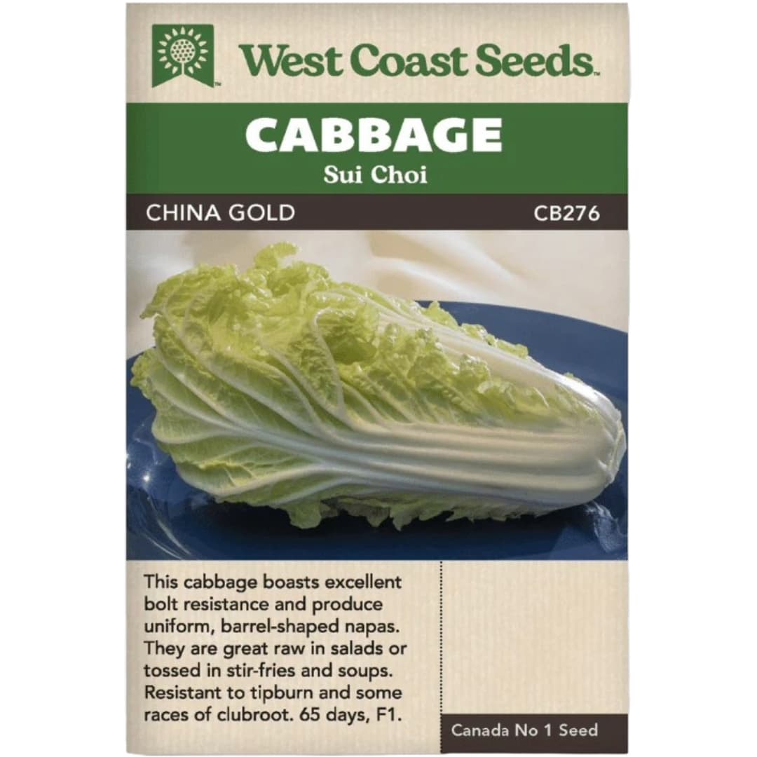 Cabbage China Gold - West Coast Seeds – Wildwood Outdoor Living