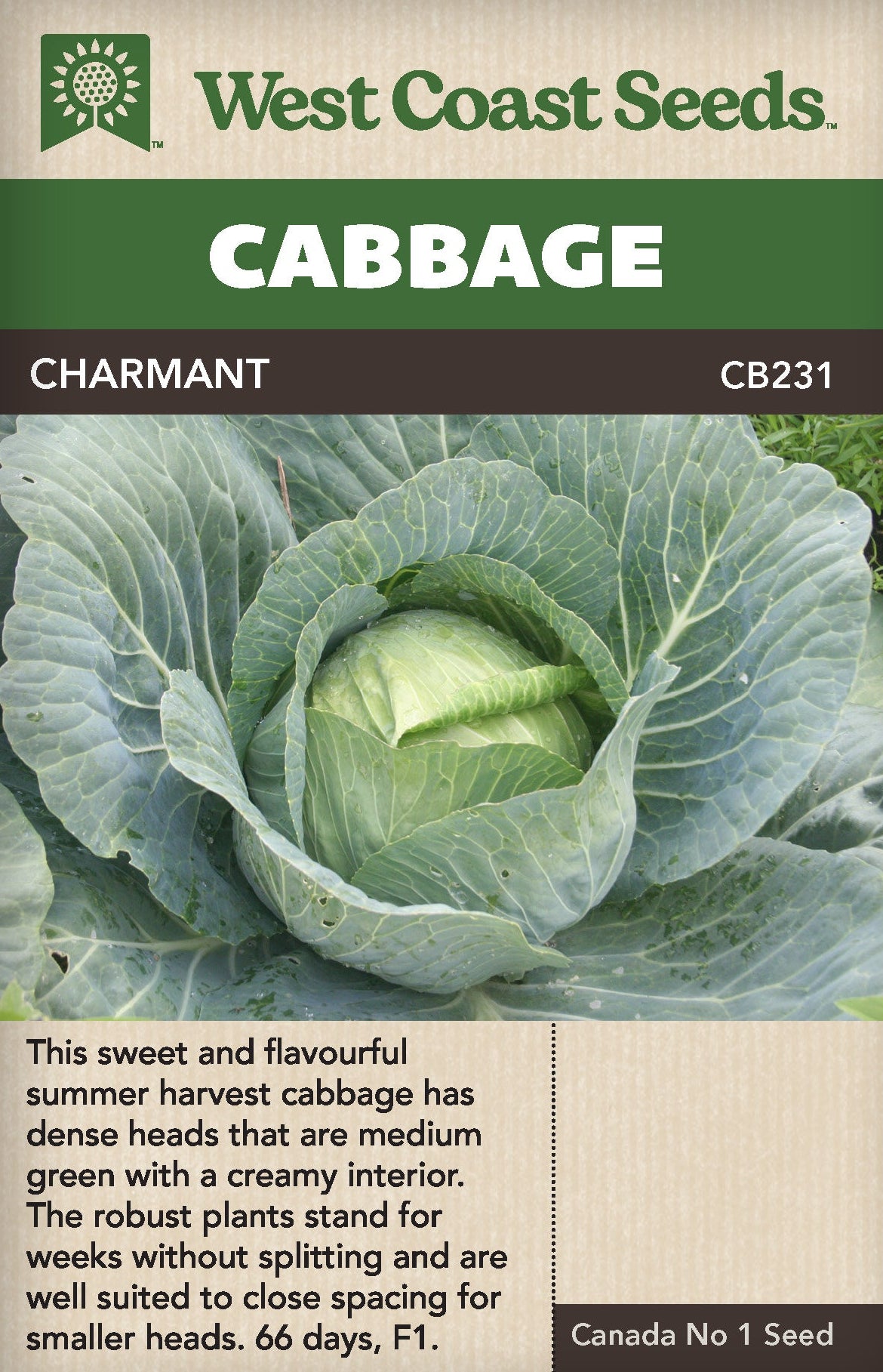 Cabbage Charmant - West Coast Seeds – Wildwood Outdoor Living