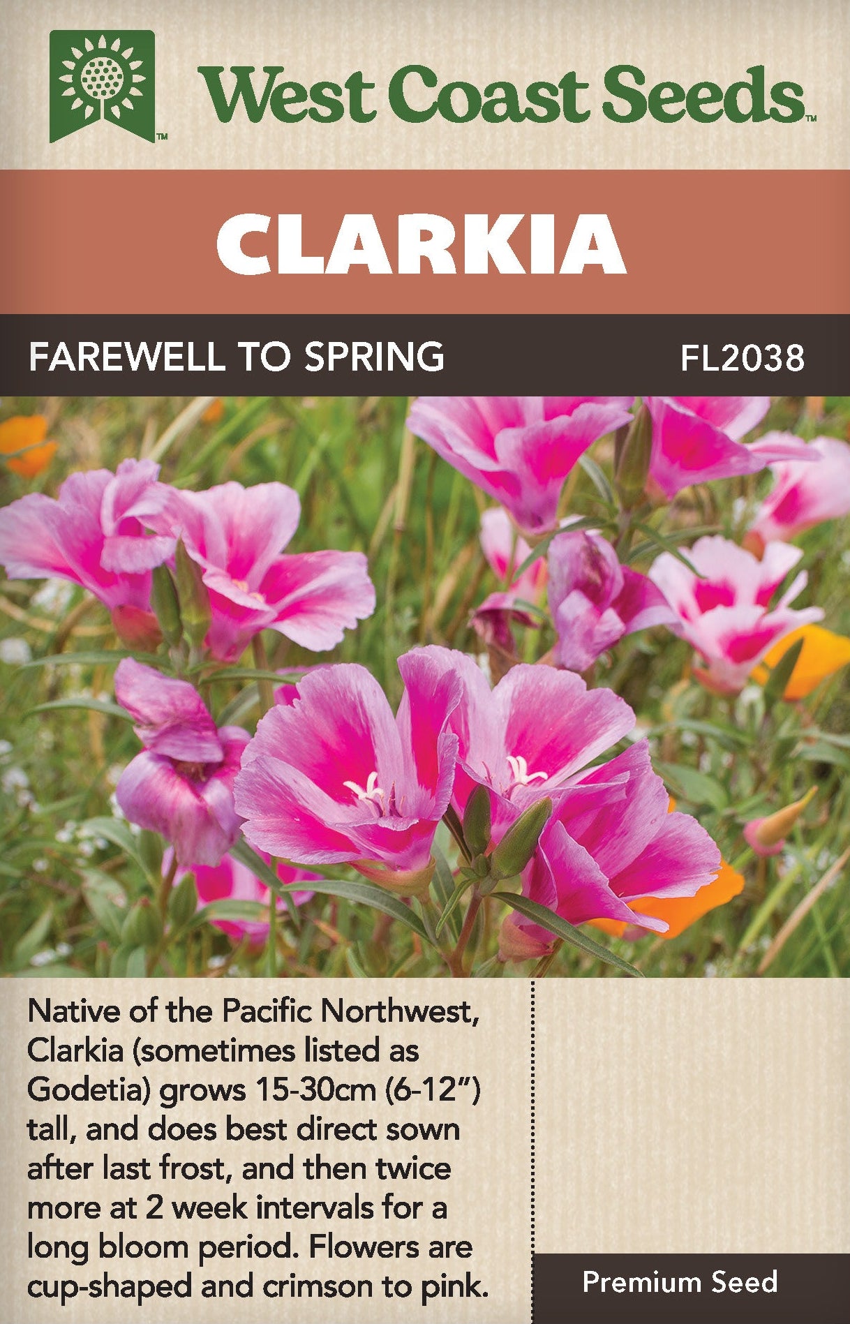 Clarkia Farewell to Spring - West Coast Seeds – Wildwood Outdoor Living