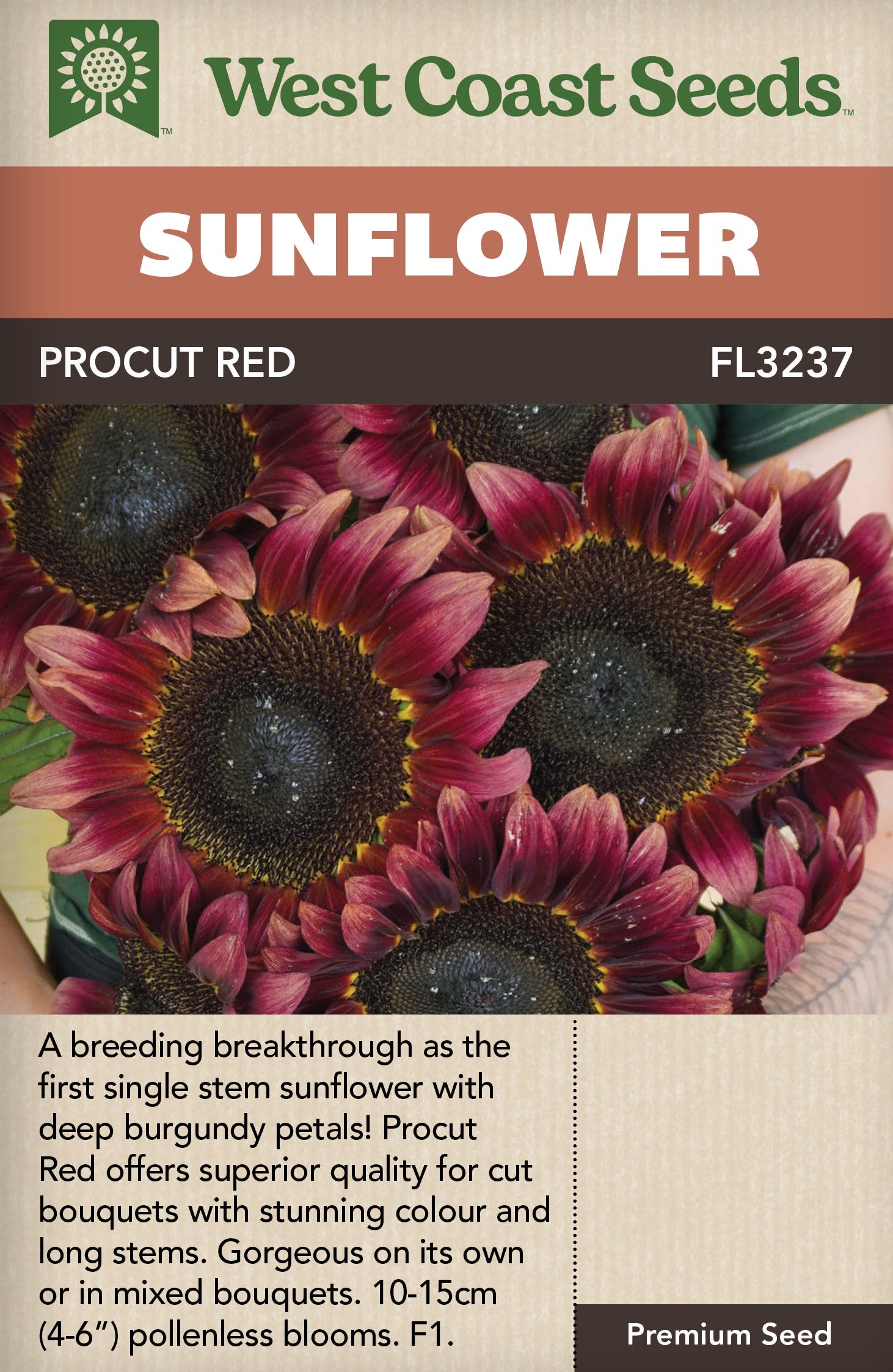 Sunflower Procut Red - West Coast Seeds – Wildwood Outdoor Living