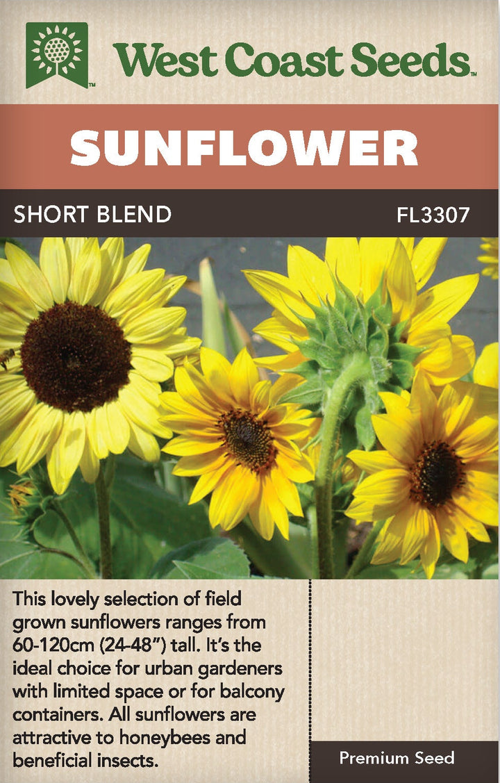 Sunflower Seeds | Largest Selection in Canada – Wildwood Outdoor Living