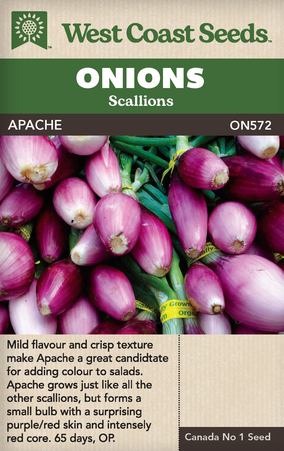 Onion Apache - West Coast Seeds – Wildwood Outdoor Living