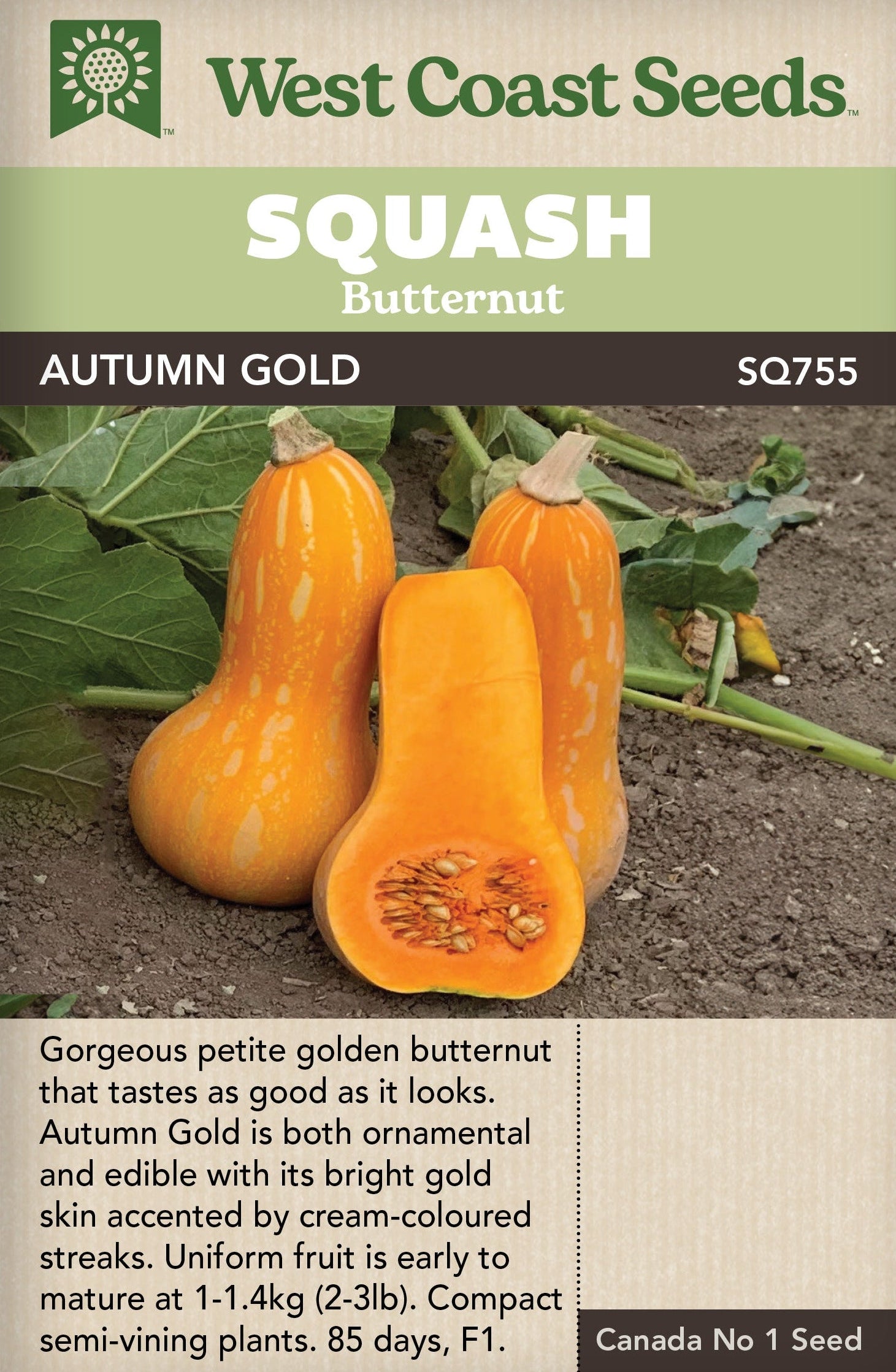 Squash Autumn Gold - West Coast Seeds – Wildwood Outdoor Living