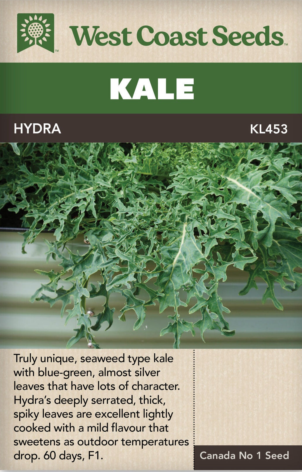Kale Hydra - West Coast Seeds – Wildwood Outdoor Living
