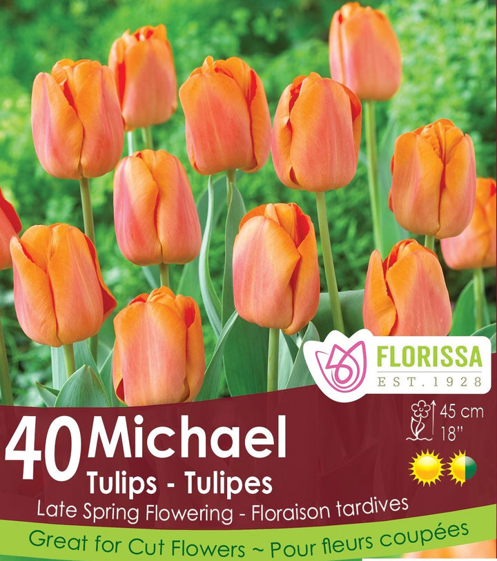 Tulip Bulbs | Best Selection, Top Quality | Canada-Wide Shipping – Wildwood Outdoor Living