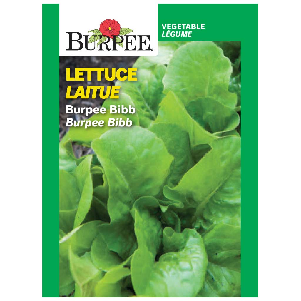 Lettuce Burpee Bibb - Burpee Seeds – Wildwood Outdoor Living