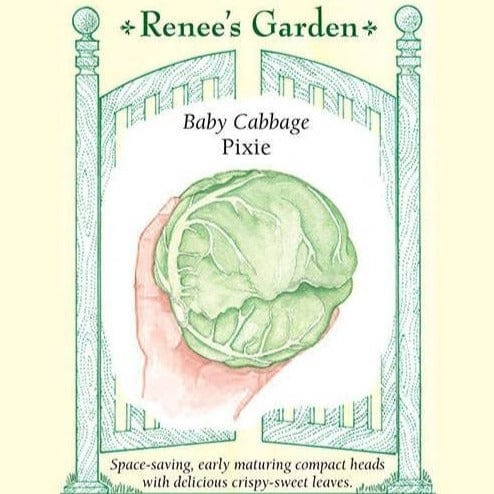 Cabbage Pixie - Renee's Garden – Wildwood Outdoor Living