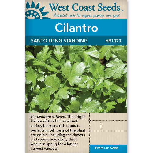 Cilantro Santo Long Standing - West Coast Seeds – Wildwood Outdoor Living