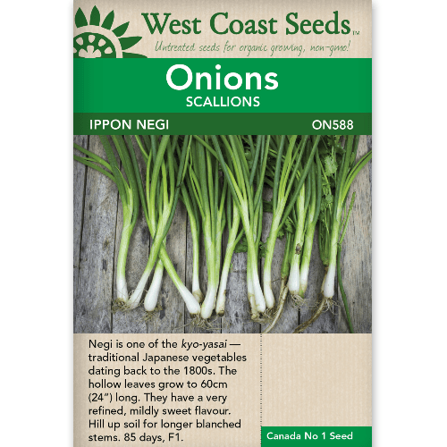 Onion Ippon Negi | West Coast Seeds – Wildwood Outdoor Living