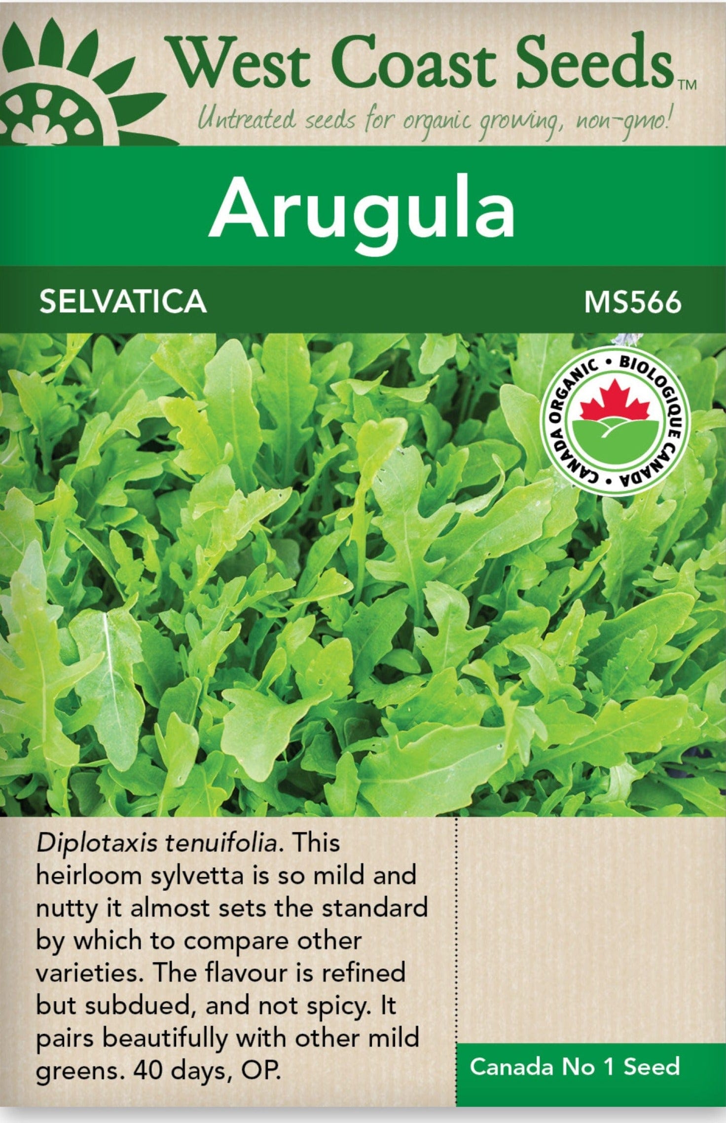 Organic Arugula Selvatica - West Coast Seeds – Wildwood Outdoor Living