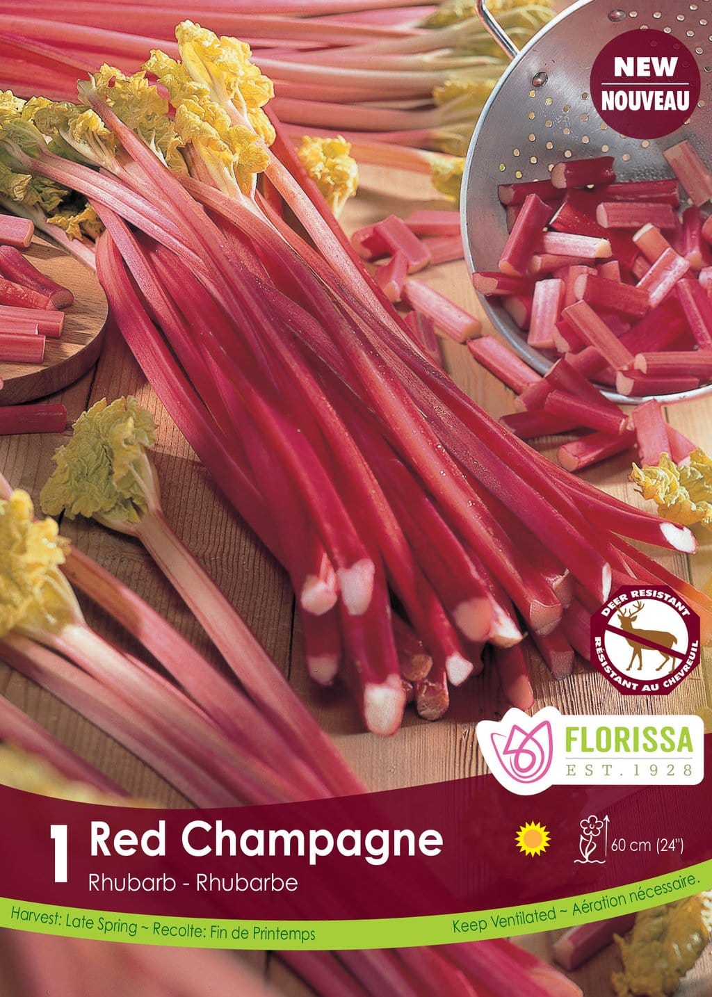 Rhubarb | Red Champagne | Spring Planting Bulb – Wildwood Outdoor Living