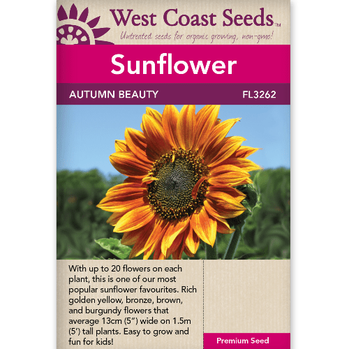 Sunflower Seeds | Largest Selection in Canada – Wildwood Outdoor Living