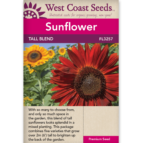 Sunflower Seeds | Largest Selection in Canada – Wildwood Outdoor Living