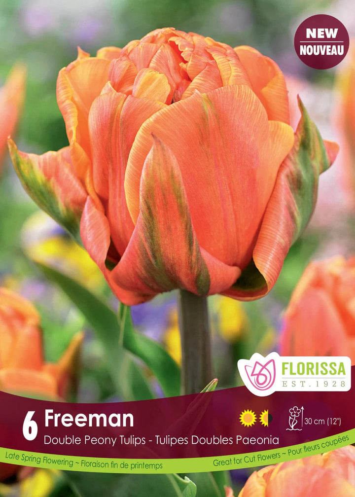 Tulip Bulbs | Best Selection, Top Quality | Canada-Wide Shipping – Wildwood Outdoor Living